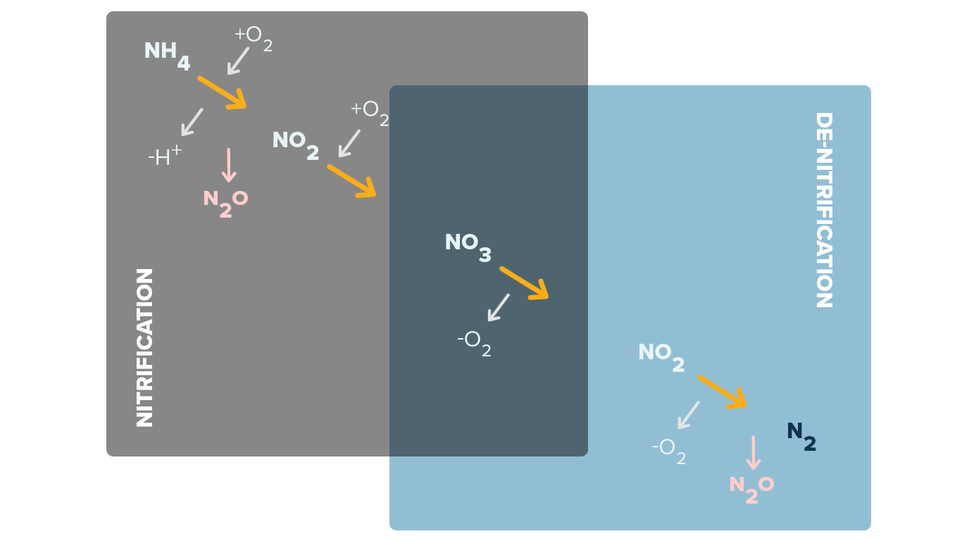 Simultaneous Nitrification and Denitrification delivers Total Nitrogen ...